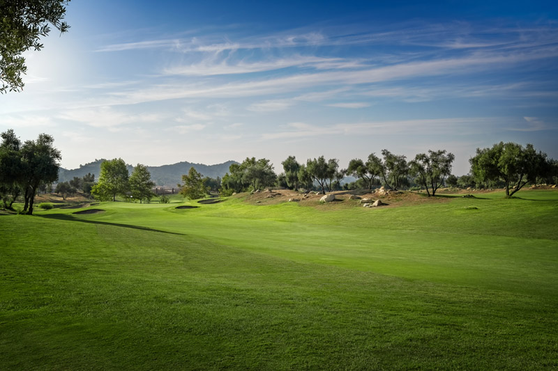 Course Details - Native Oaks Golf Club