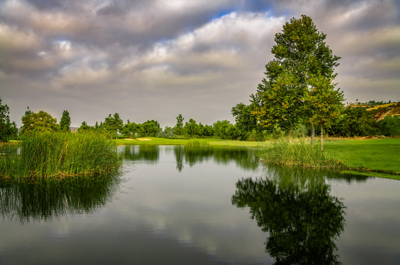 Course Details - Native Oaks Golf Club