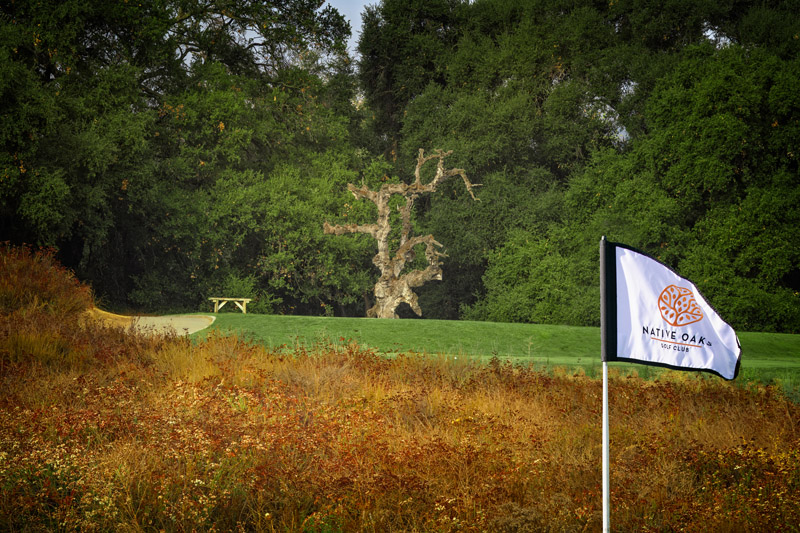 Course Details - Native Oaks Golf Club