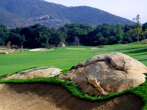 Course Details - Native Oaks Golf Club